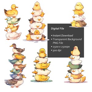 Quack Stack Ducks Clipart Set - Cartoon Animal - Instant Download PNG ...