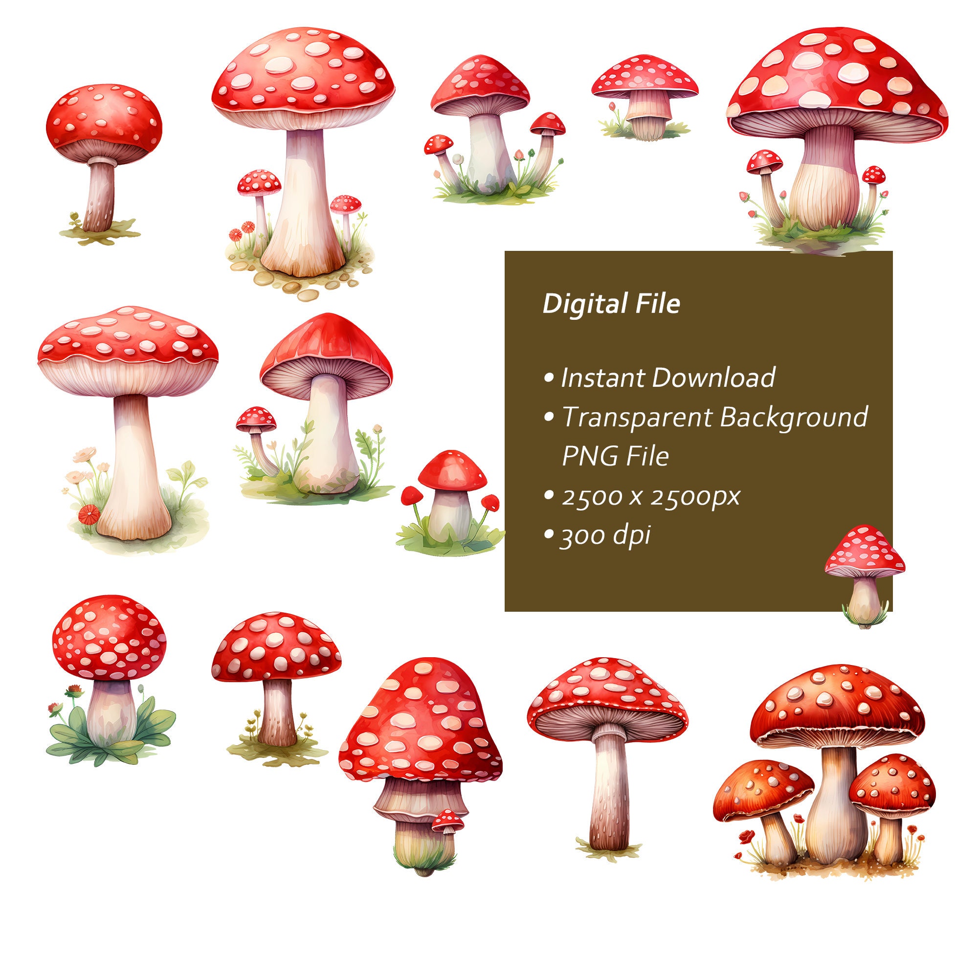 Watercolor Toadstool Clipart Set – Whimsical Mushroom PNG (commercial ...
