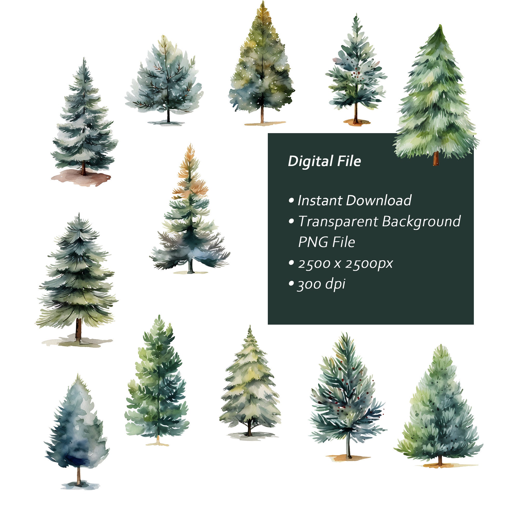 Christmas Tree Clipart Set - Holiday Graphics - Watercolor Trees ...