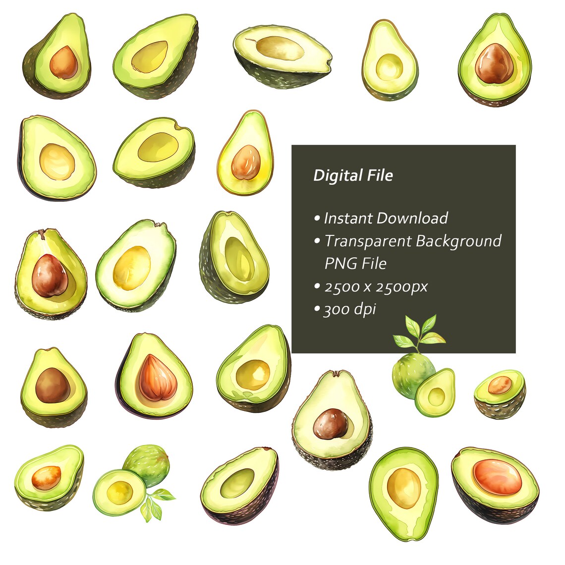 Avocado Clipart Set - Watercolor Avocados - Whimsical Avocado - Instant ...