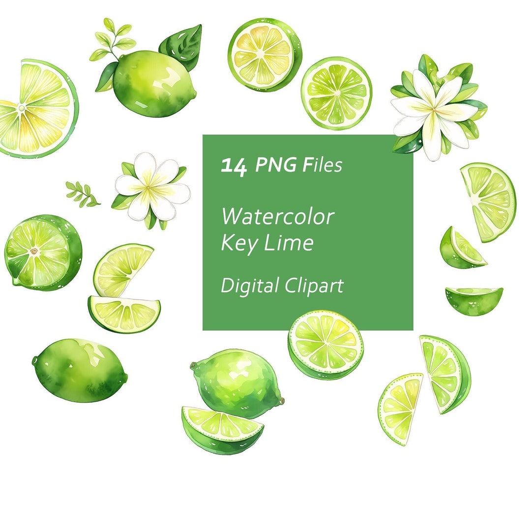 Watercolor Key Lime Clipart Set - Green Lime - Lime Slices - Instant ...