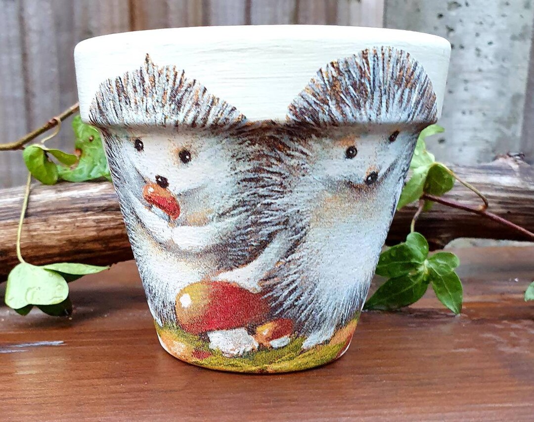 Hedgehog, Hedgehog Plant Pot, Mini Decorated Clay Plant Pot, Pots for ...