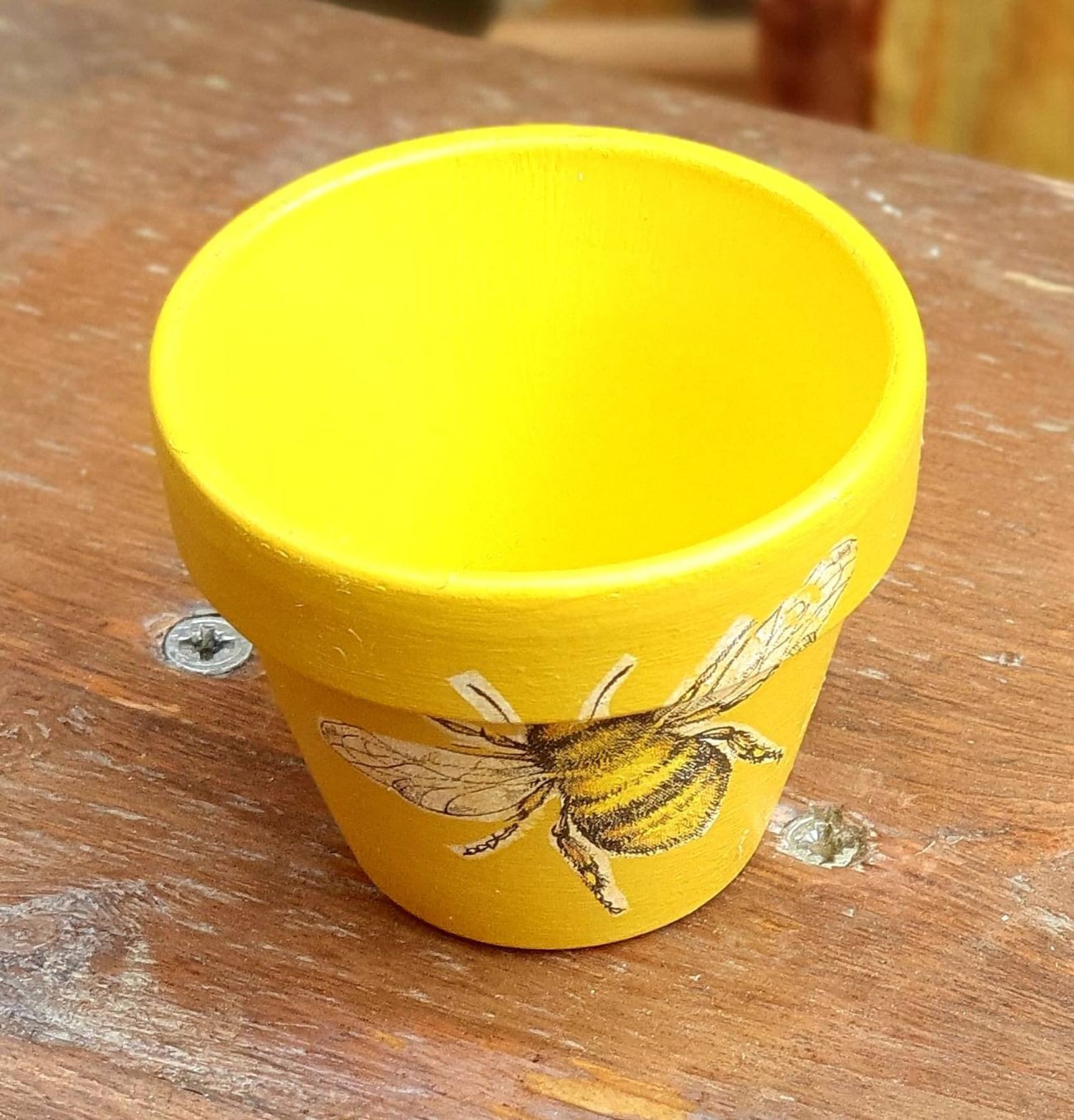 Bee Plant Pots With/without Saucer. Bee Plant Pots, Yellow Painted Clay ...