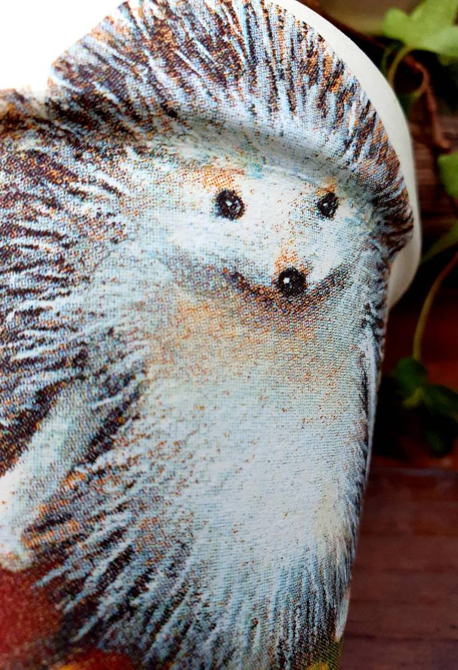 Hedgehog Hedgehog Plant Pot Mini Decorated Clay Plant Pot | Etsy