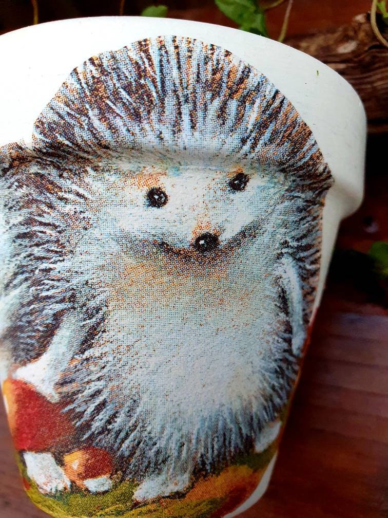 Hedgehog, Hedgehog Plant Pot, Mini Decorated Clay Plant Pot, Pots for ...