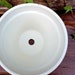 Hedgehog, Hedgehog Plant Pot, Mini Decorated Clay Plant Pot, Pots for ...