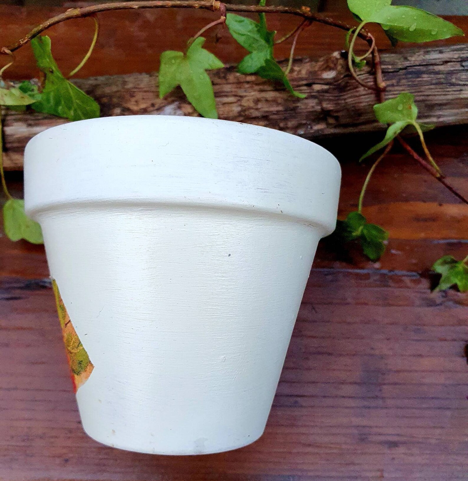 Hedgehog, Hedgehog Plant Pot, Mini Decorated Clay Plant Pot, Pots for ...
