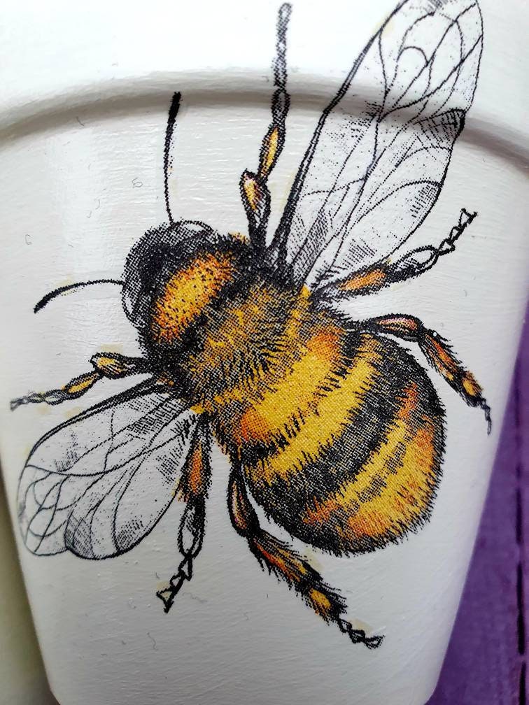 Bees Set of Decorated Plant Pots Bee Plant Pots White - Etsy UK