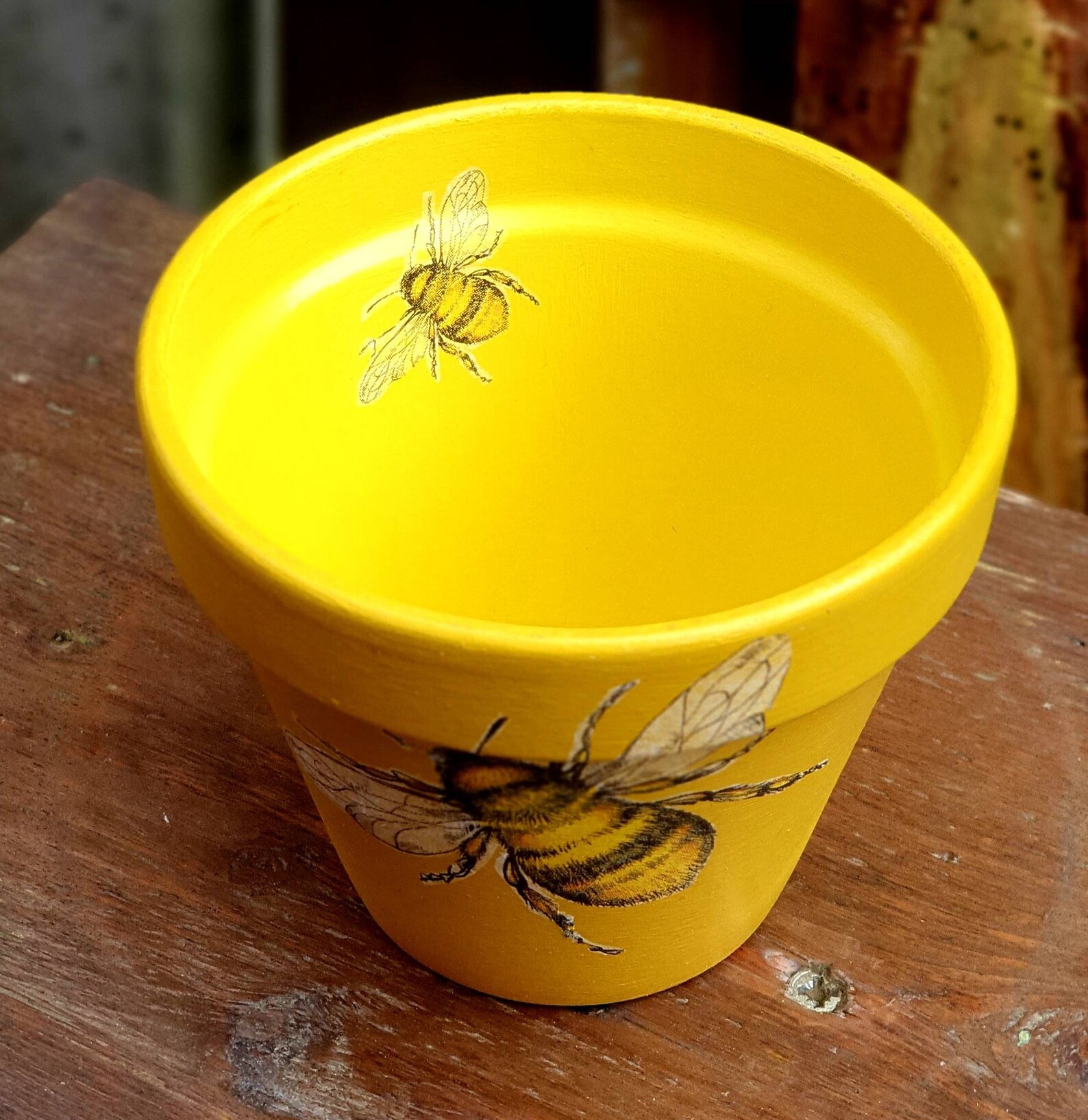 Bee Plant Pots With/without Saucer. Bee Plant Pots, Yellow Painted Clay ...