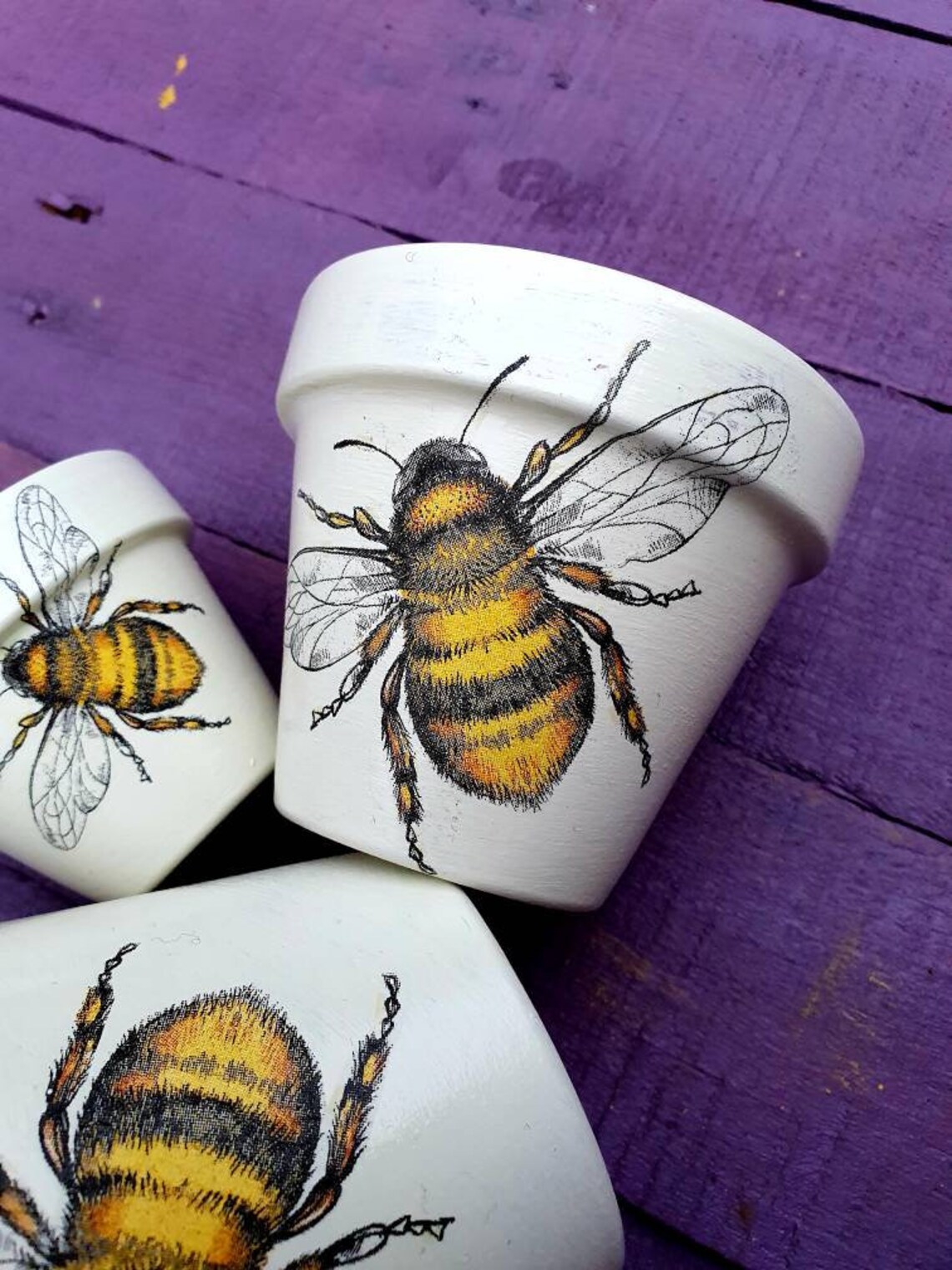 Bees Set of Decorated Plant Pots Bee Plant Pots White - Etsy