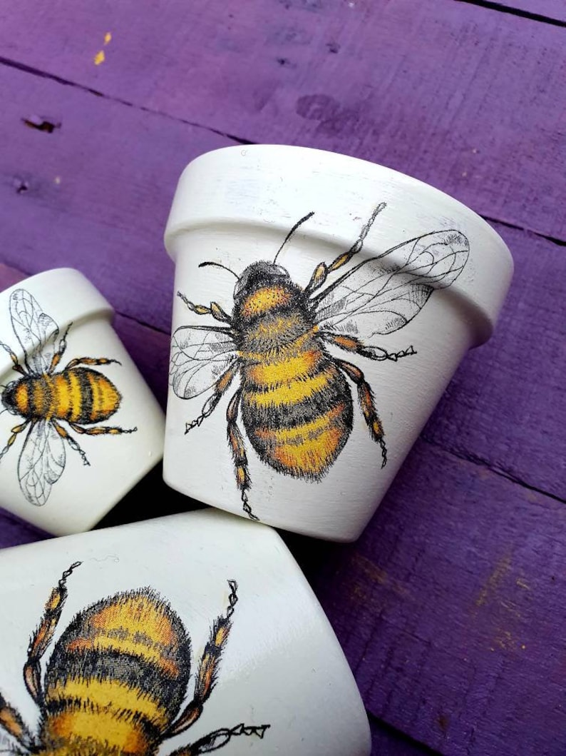 Bees Set of Decorated Plant Pots Bee Plant Pots White - Etsy