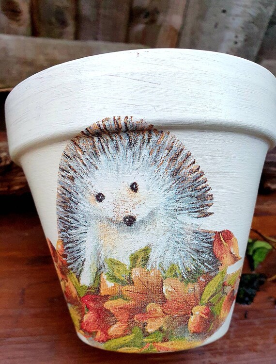 Hedgehog Hedgehog Plant Pot Mini Decorated Clay Plant Pot | Etsy
