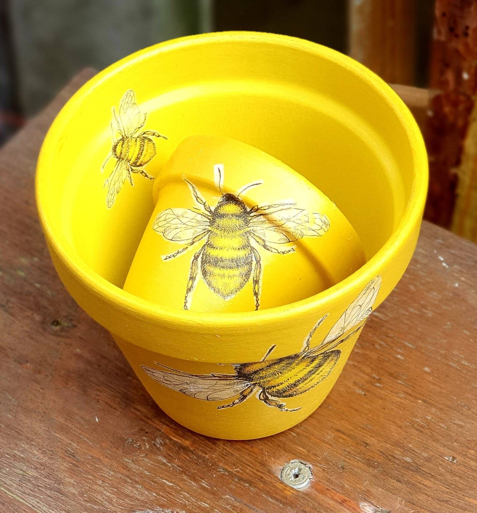 Bee Plant Pots With/without Saucer. Bee Plant Pots, Yellow Painted Clay ...