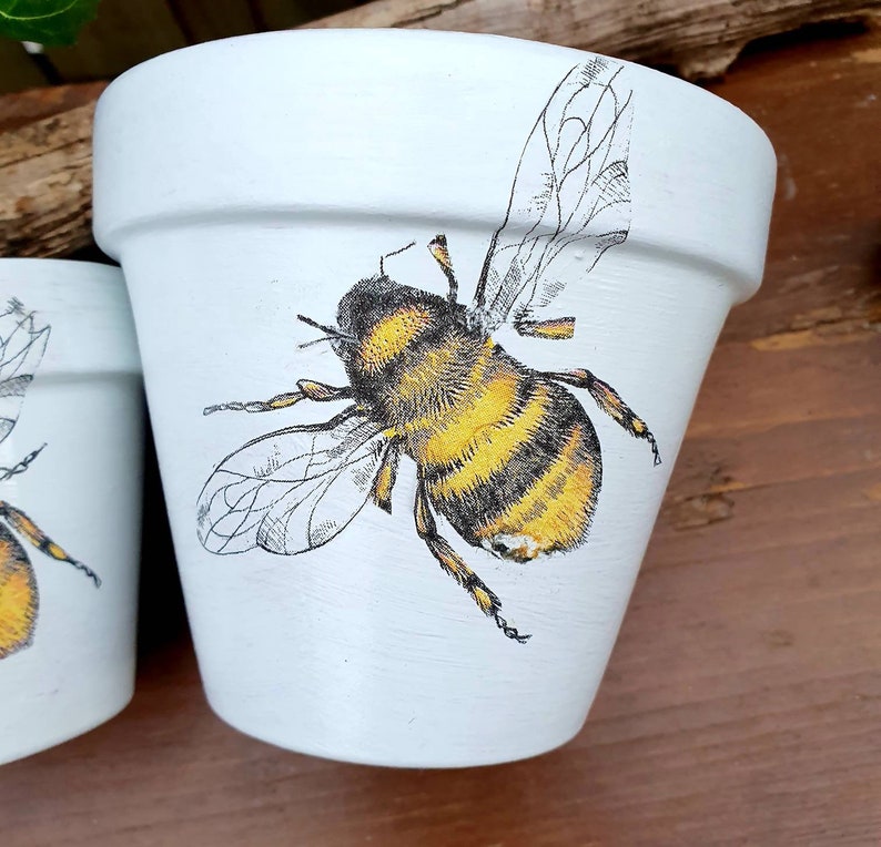 Bees Set of decorated plant pots Bee plant pots White | Etsy