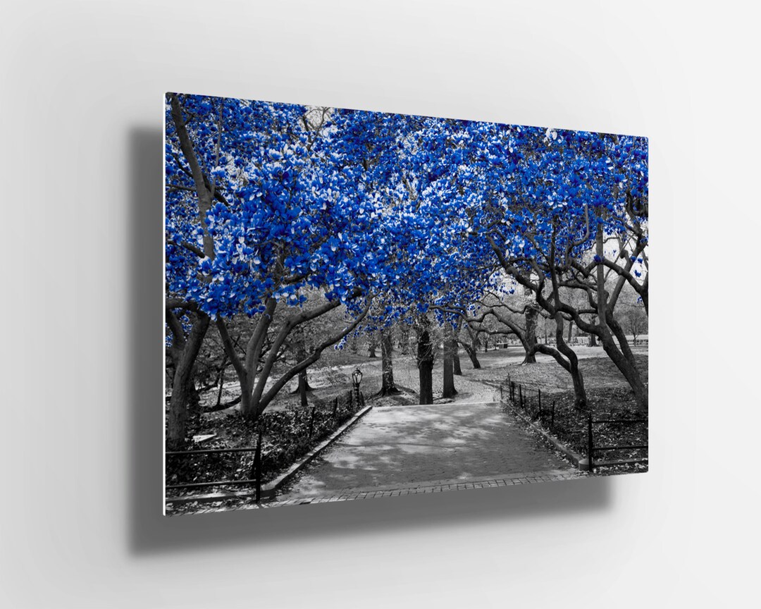 Blue Black and White Tree Forest Park Nature Metal Poster Aluminium ...