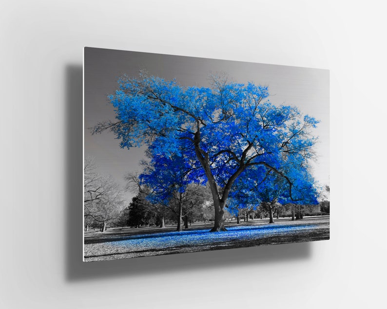 Blue Black and White Tree Forest Park Nature Metal Poster - Etsy UK