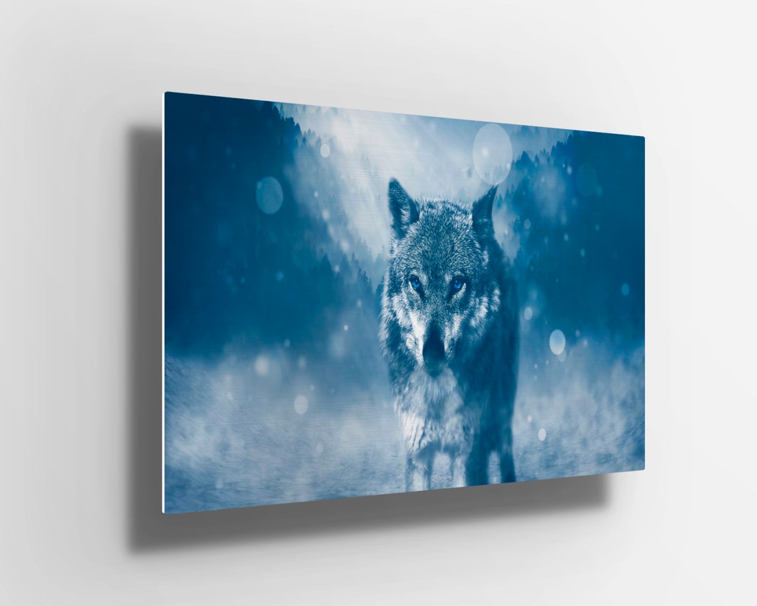 Wolf With Blue Eyes Scene Metal Aluminium Print Wall Art | Wolf Poster ...
