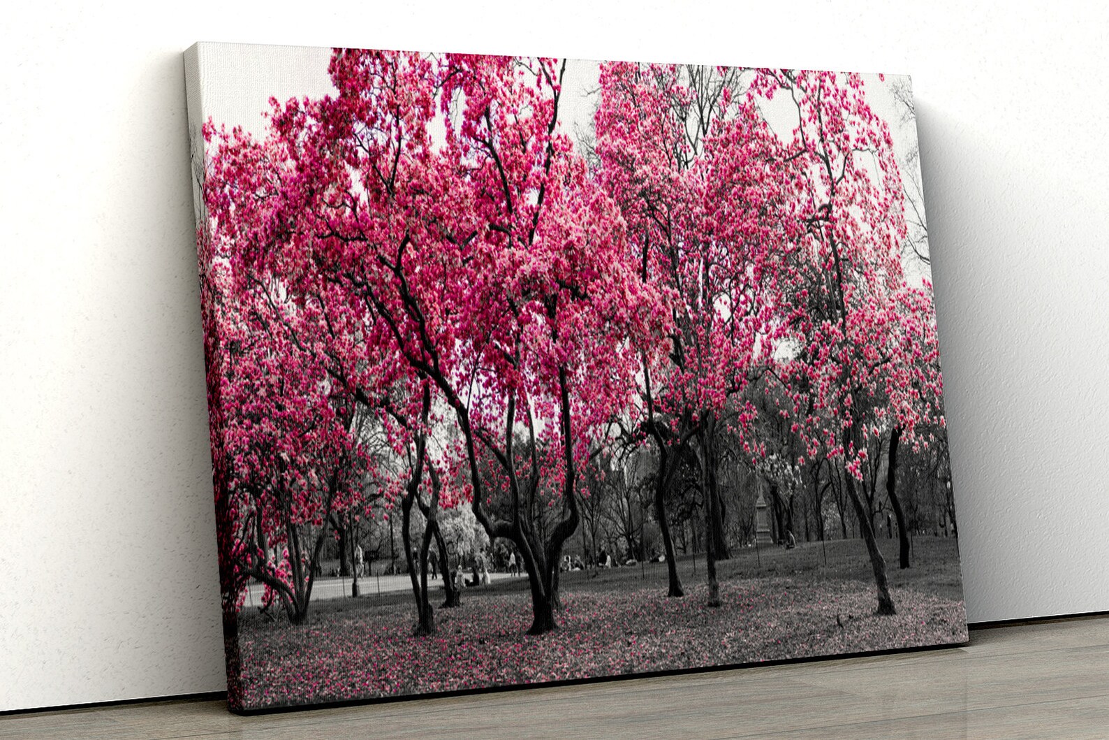 Large Pink Tree Black White Home Decor Nature Framed Canvas | Etsy