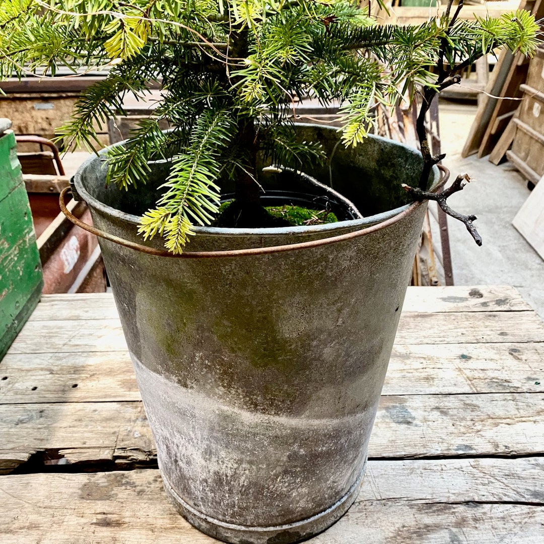 Galvanised Container With Rusty Wonky Handle - Etsy