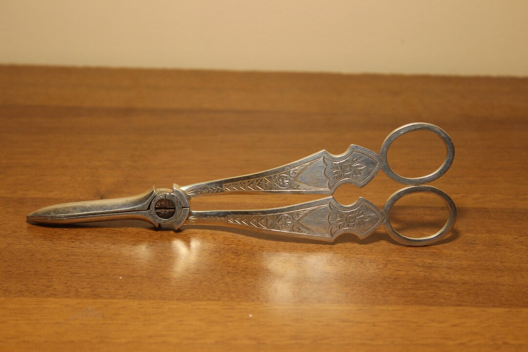 Silver Plated Grape Scissors - Etsy