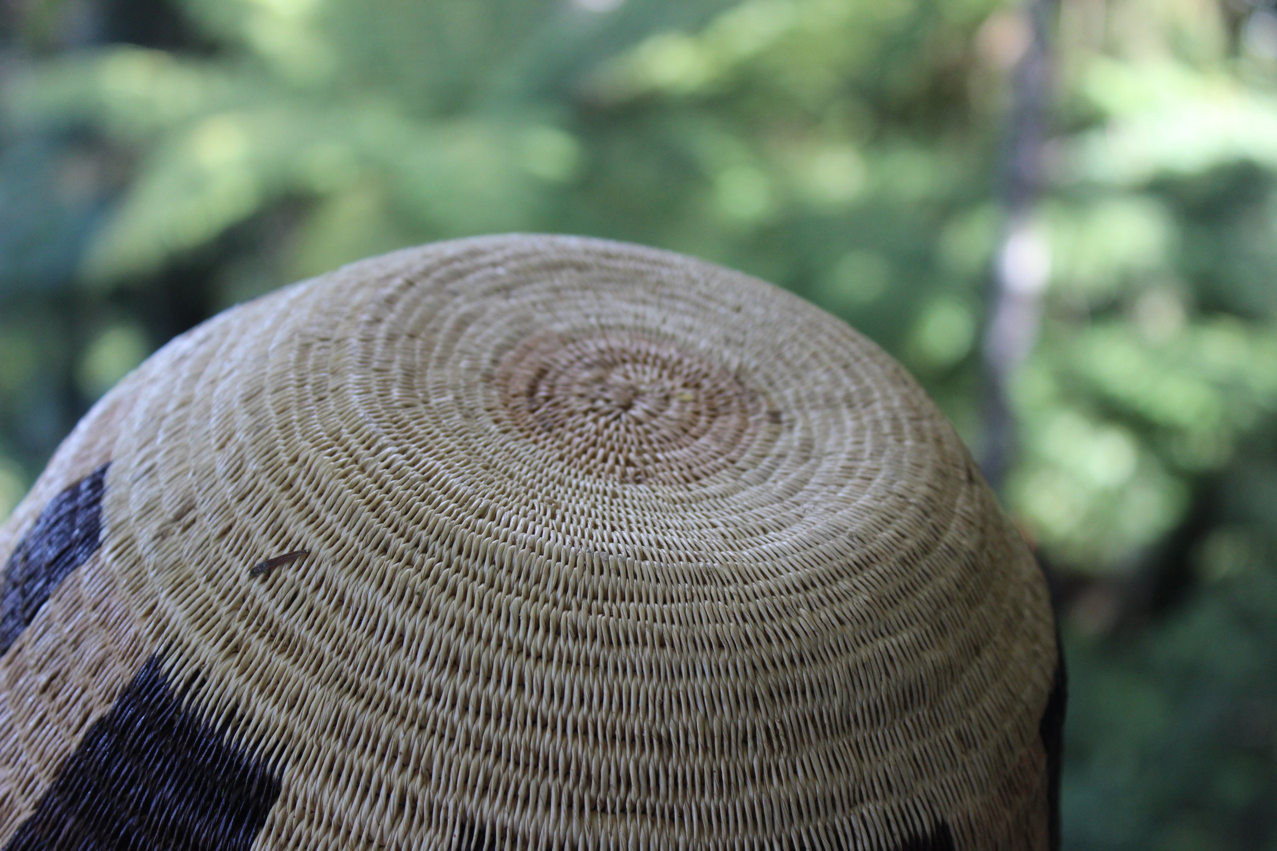 Wounaan Embera Woven Basket - Etsy