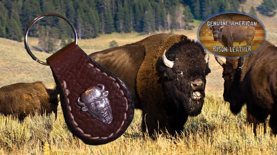 Bison Leather Keychain With Buffalo Head Concho - Etsy