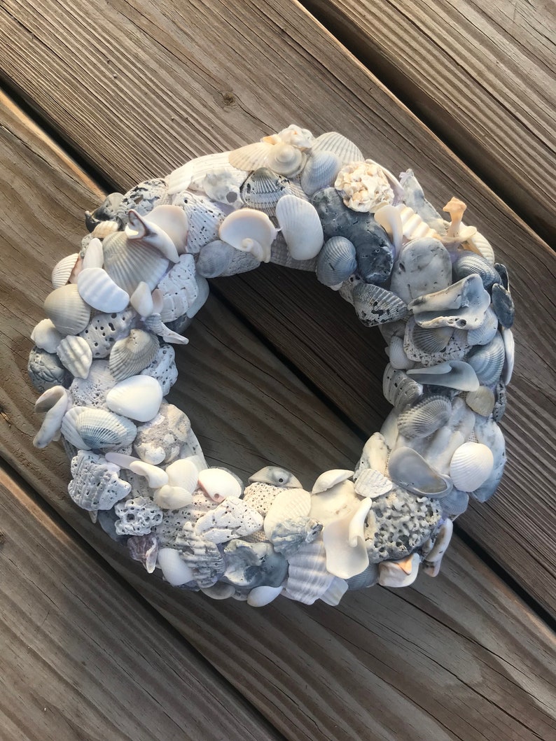 Small Seashell Wreath - Etsy