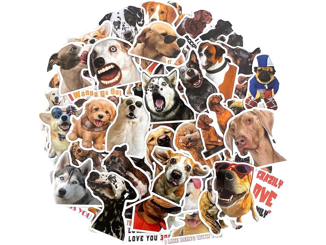 100 Dog Lover Vinyl Stickers Silly Dog Vinyl Stickers Water Bottle ...