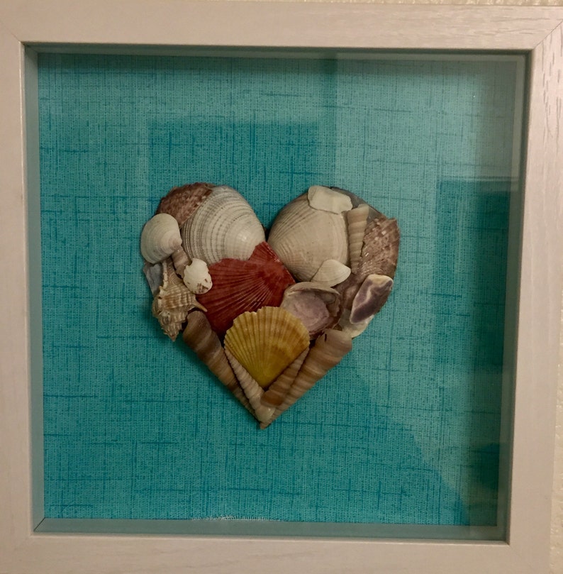Coronado Seashell Love - Etsy