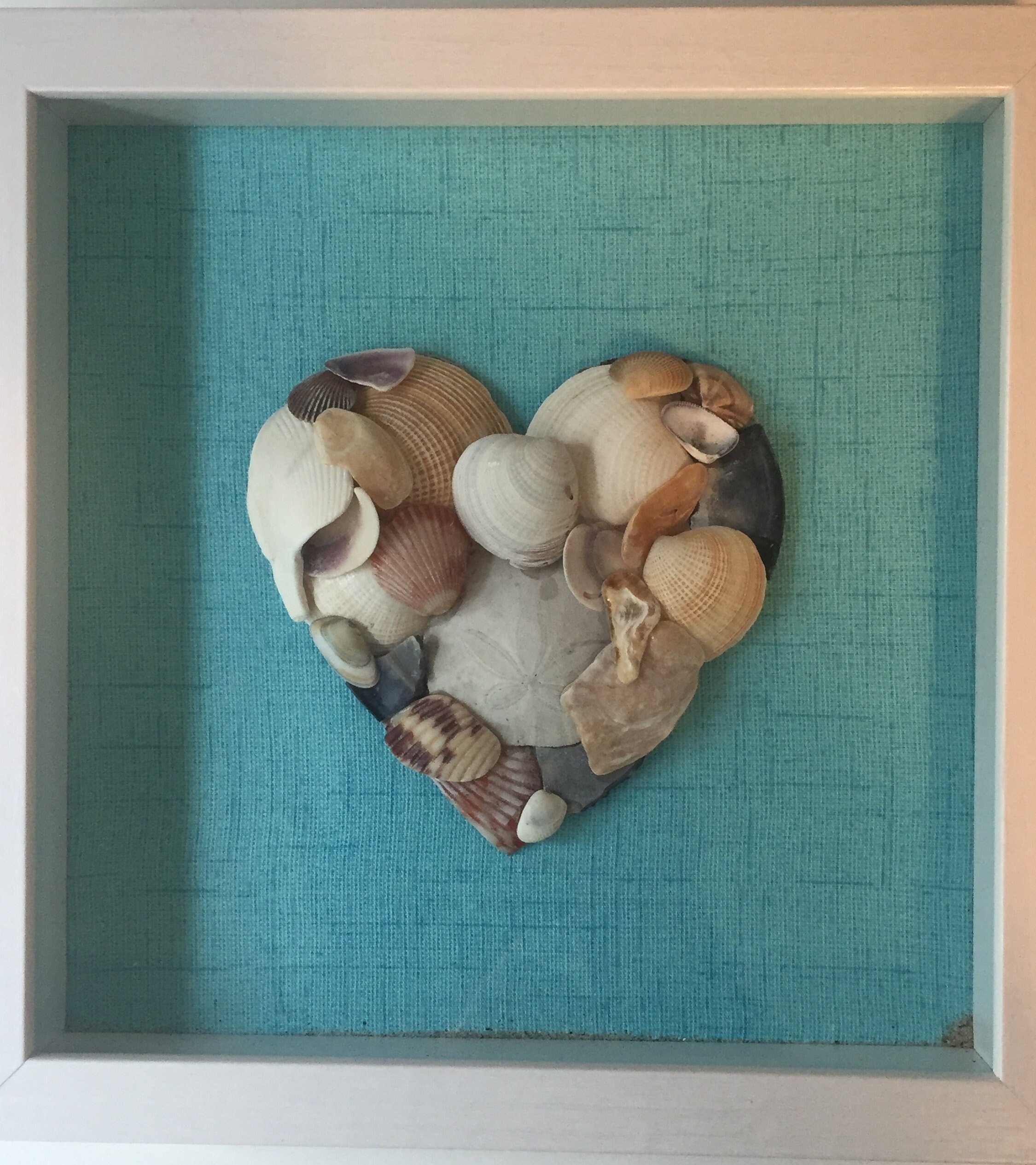 Coronado Seashell Love - Etsy