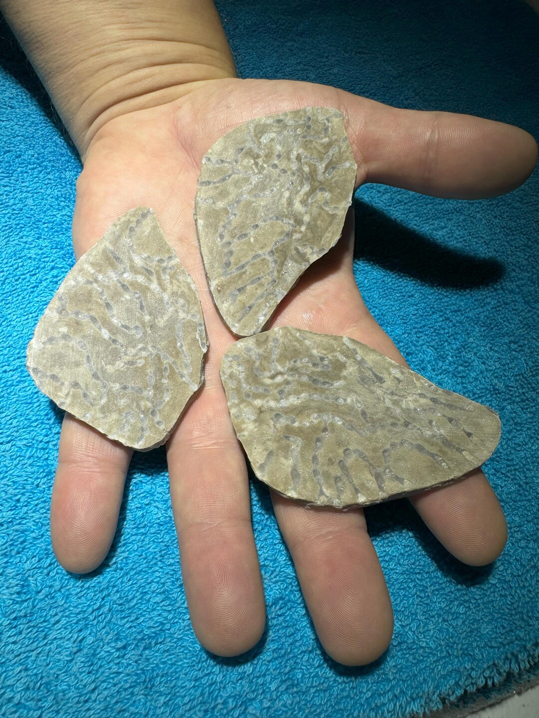 Set of 8 Chain Corral SLABS - Lot KT - Shipping Included - Etsy