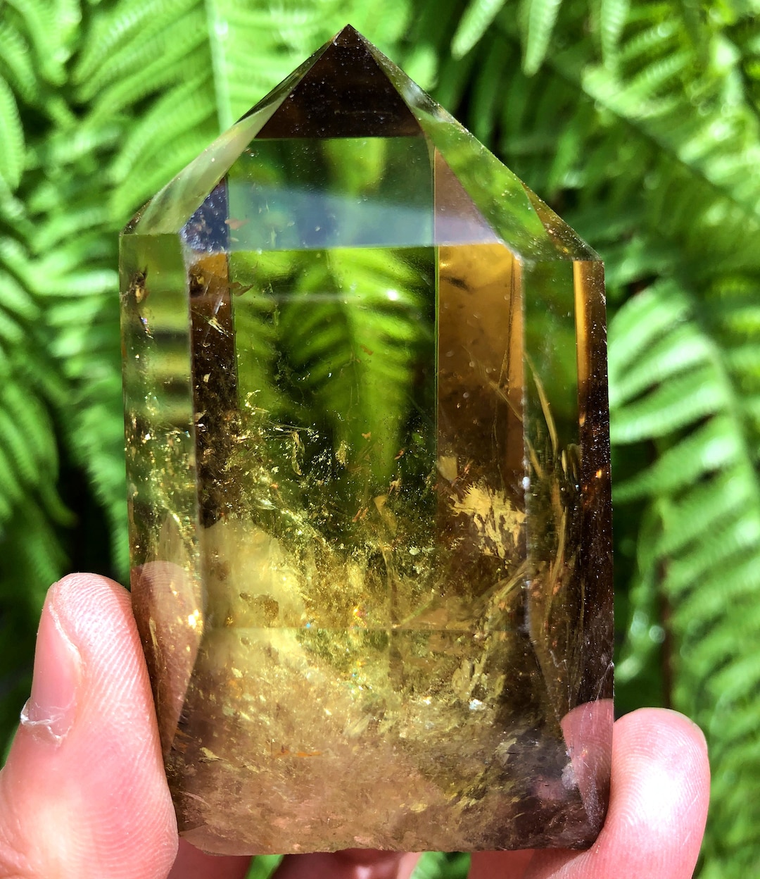 Natural Large Transparent Headed Yellow Citrine Crystal Quartz Point ...