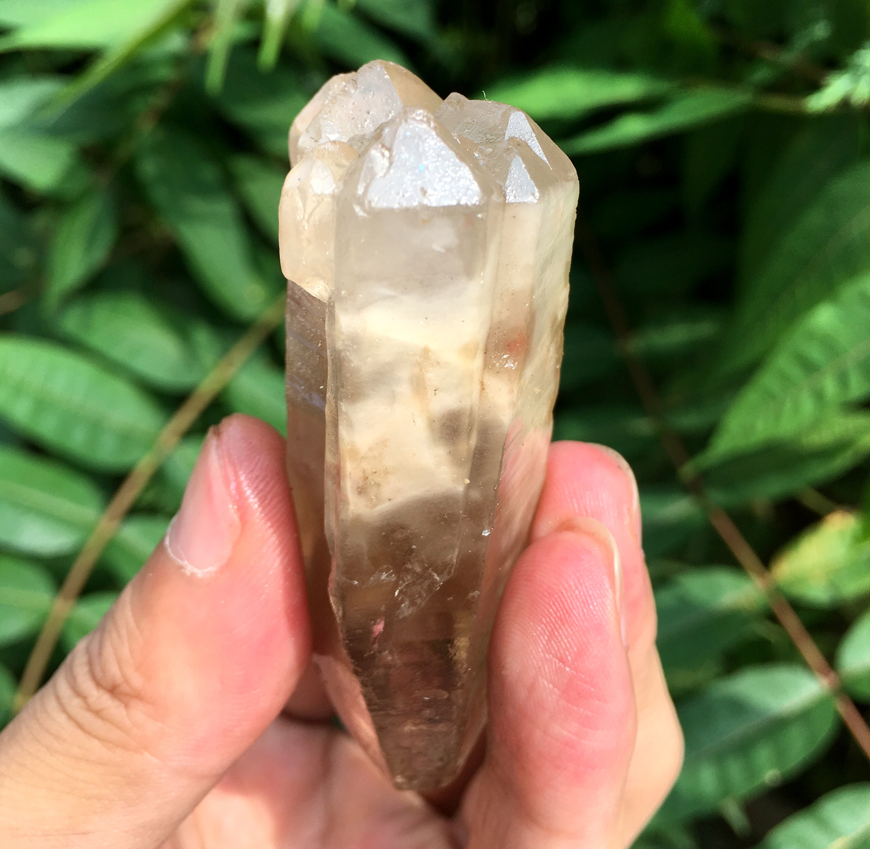 Natural Raw Himalayan Family Crystal Quartz Point/White | Etsy