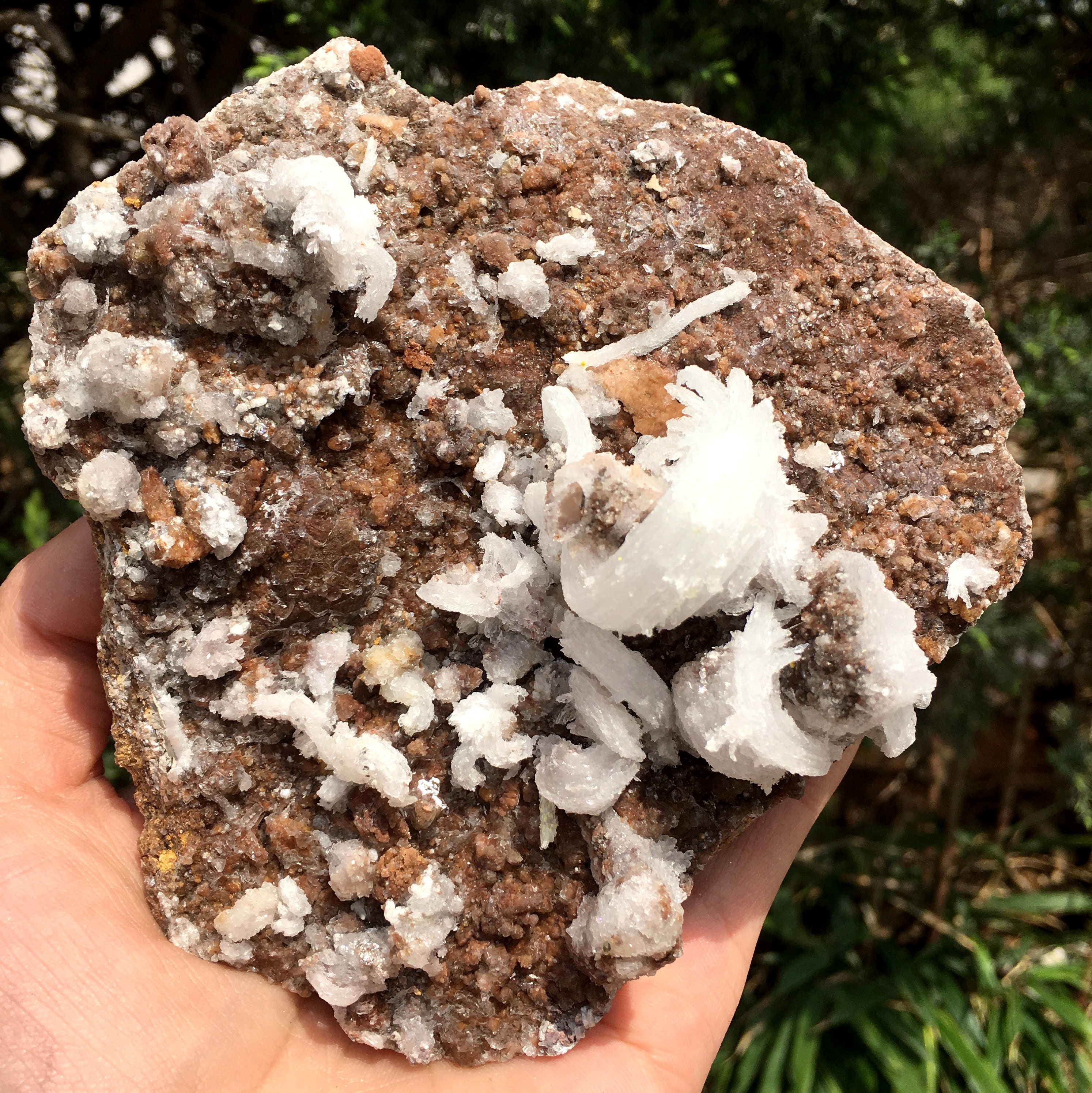 Natural large gypsum selenite on matrix/gypsum cluster/gypsum | Etsy