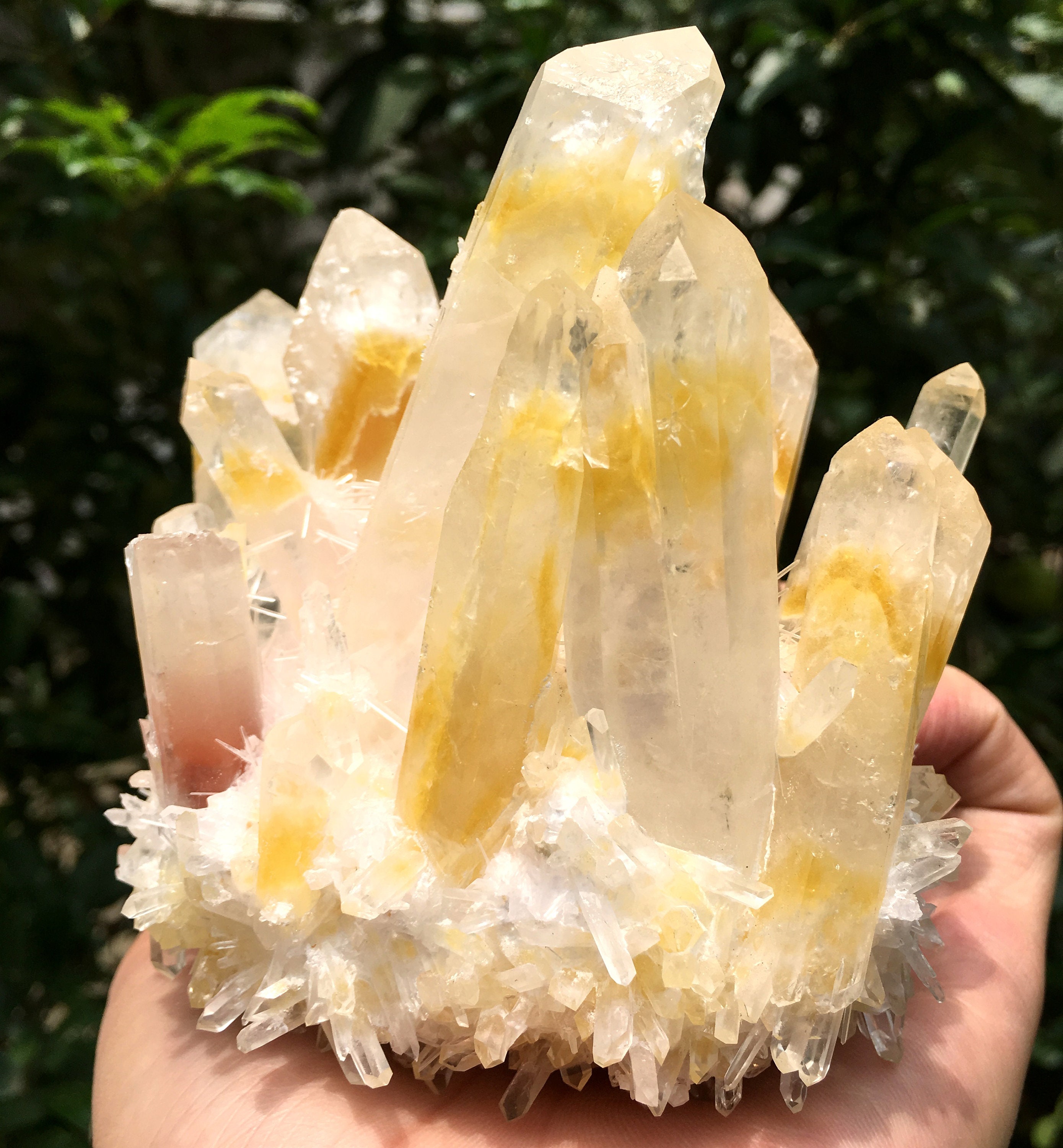 Angel Aura Quartz Himalaya Clear Abundance Quartz | Etsy