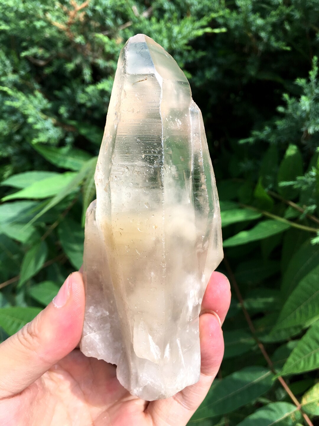 LARGE Natural Skeleton Crystal/contain Inside Rabbit Hair Crystal/white ...