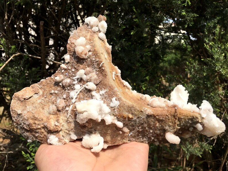 Natural Large Gypsum Selenite on Matrix/gypsum Cluster/gypsum - Etsy