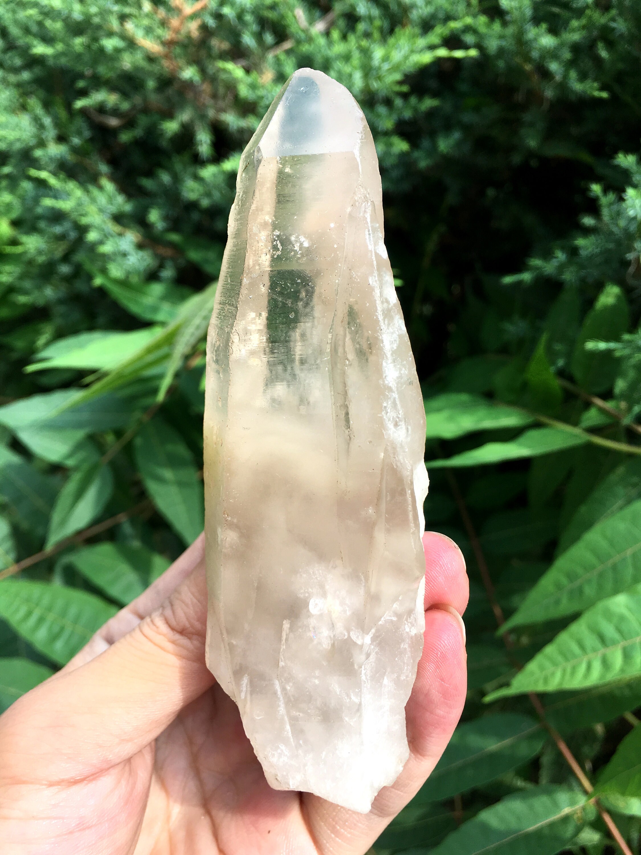 LARGE Natural Skeleton Crystal/contain Inside Rabbit Hair | Etsy