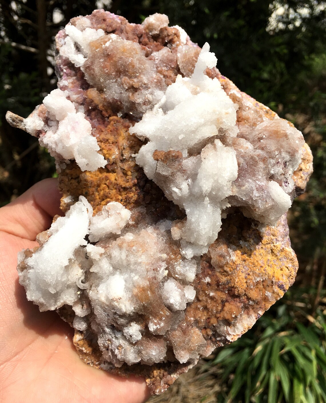 Natural large gypsum selenite on matrix/gypsum cluster/gypsum | Etsy