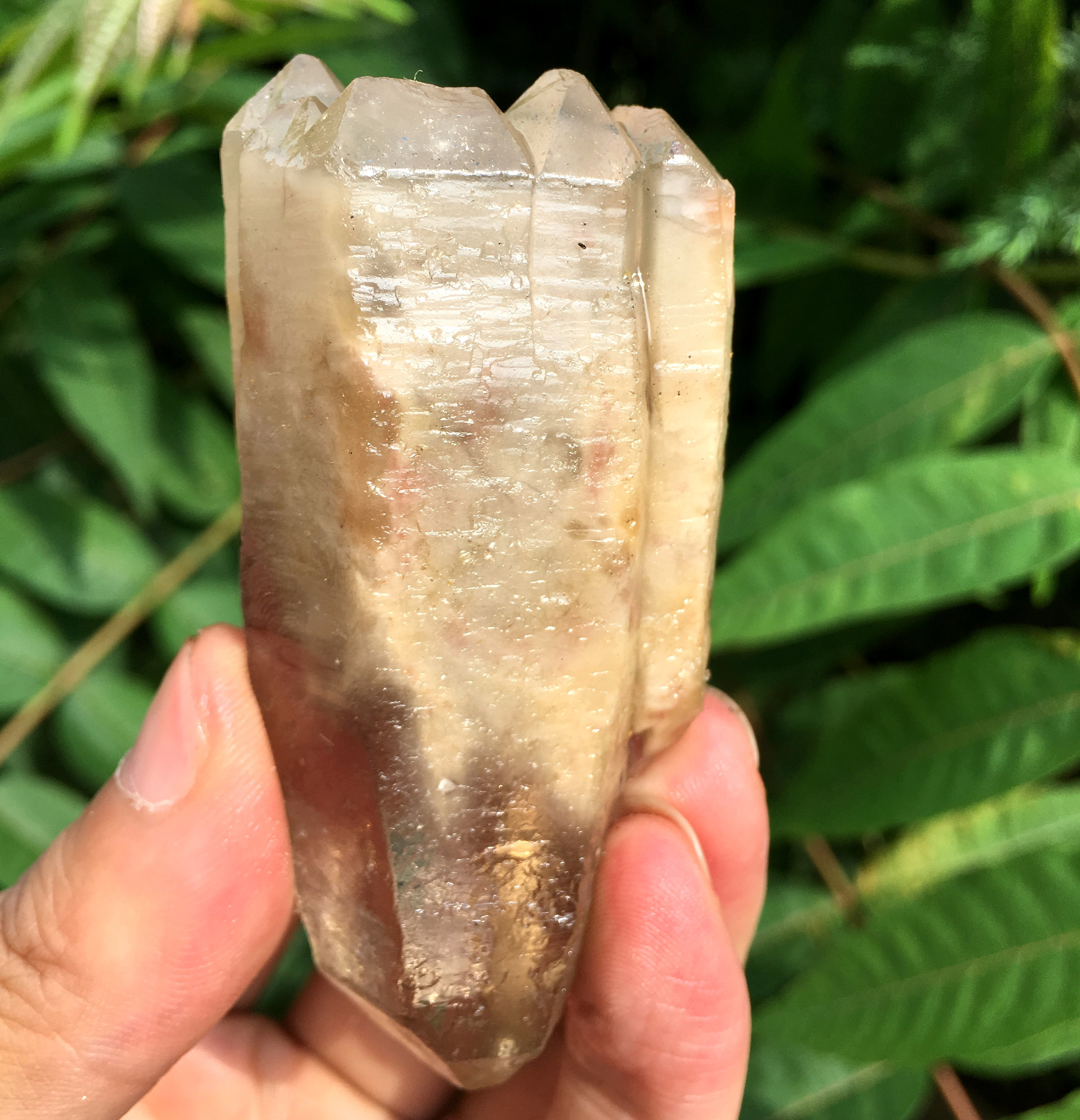 Natural Raw Himalayan Family Crystal Quartz Point/White | Etsy