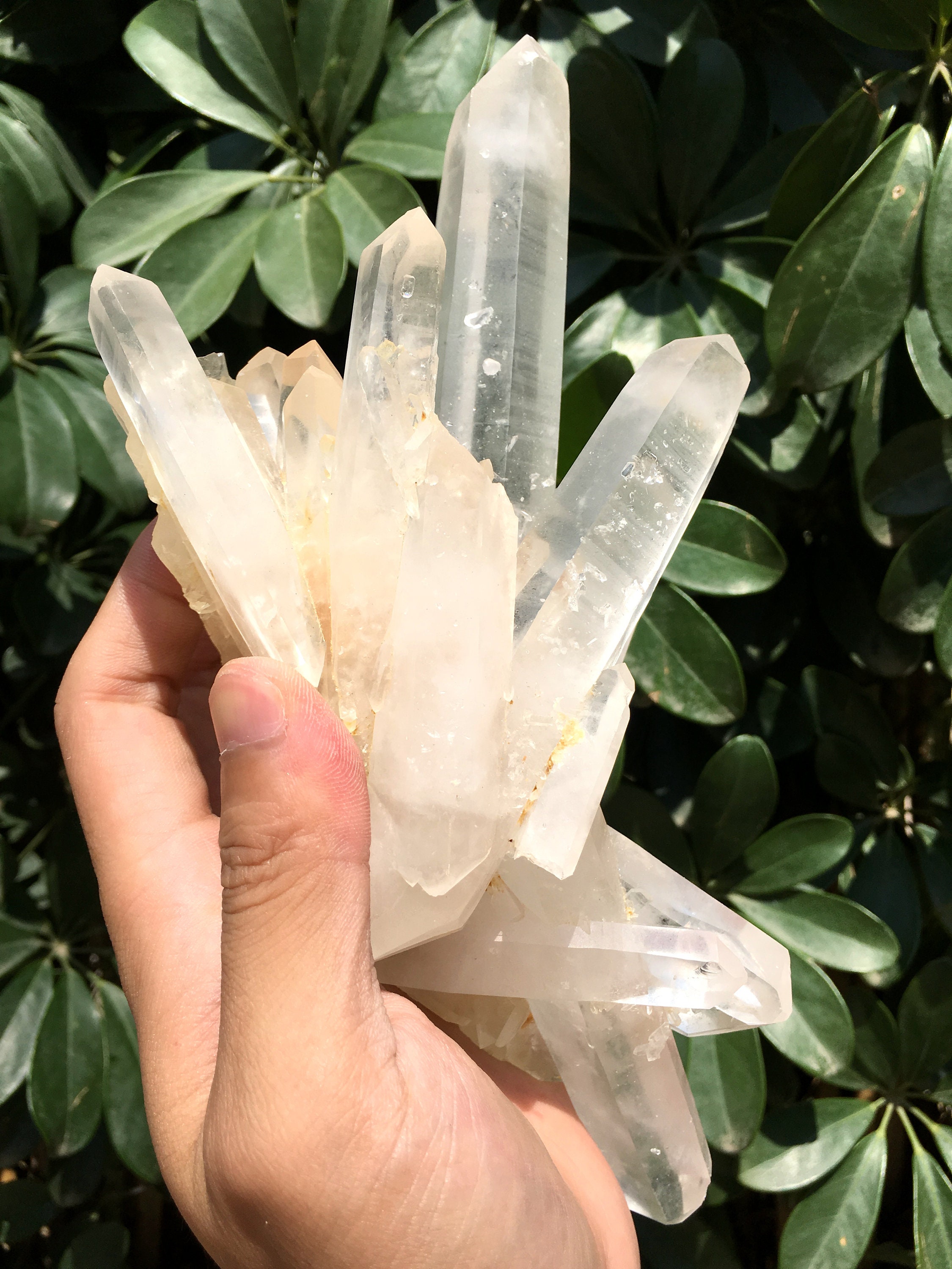 Natural Raw Himalayan Family Crystal Quartz Point/White | Etsy