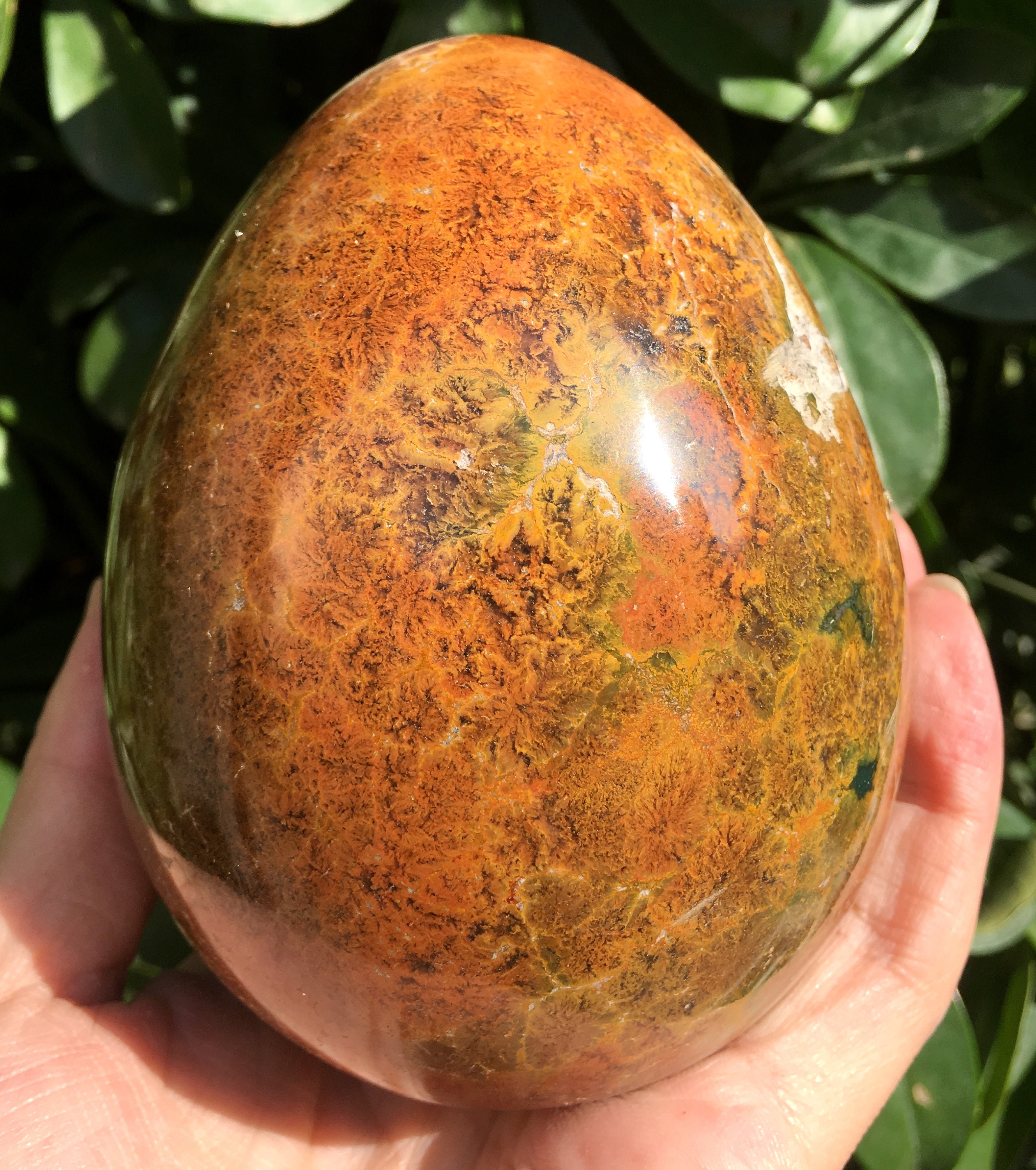 Natural Large Ocean Jasper Crystal Egg/Palm Stones | Etsy