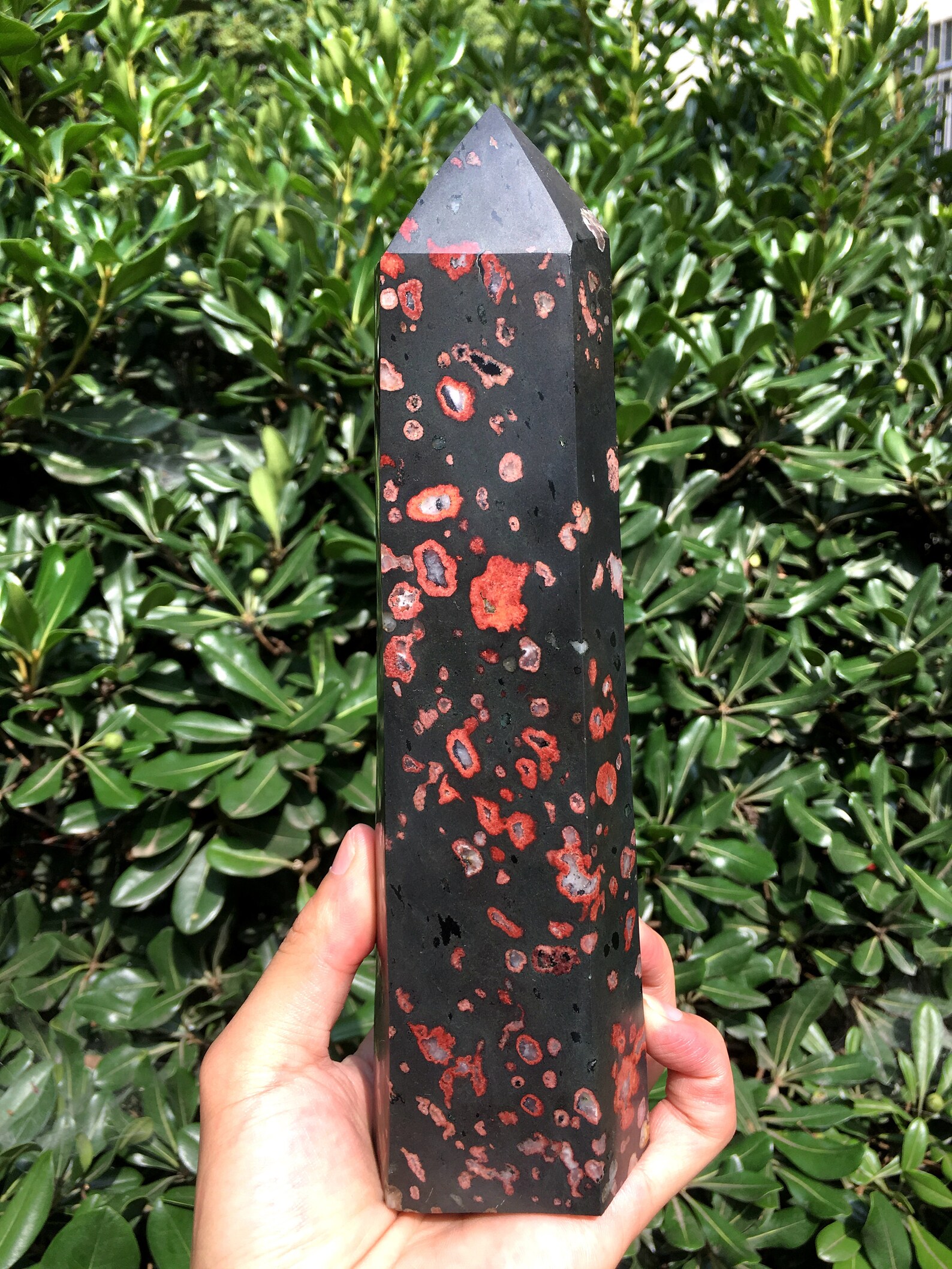 Rare Natural Large Plum Stone Point/scenic Quartz - Etsy