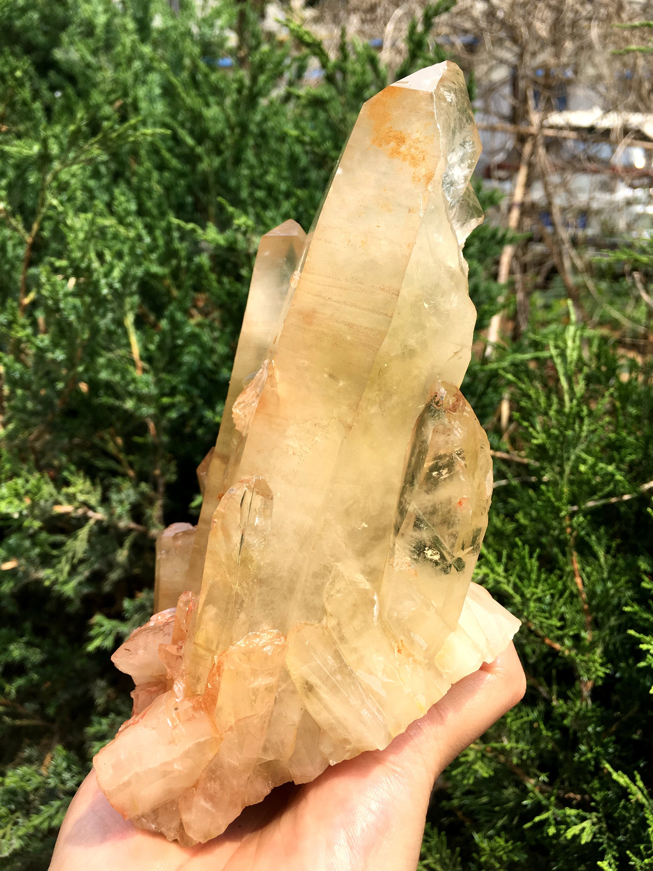 Large Raw White crystal yellow Crystal Cluster/Black Quartz | Etsy