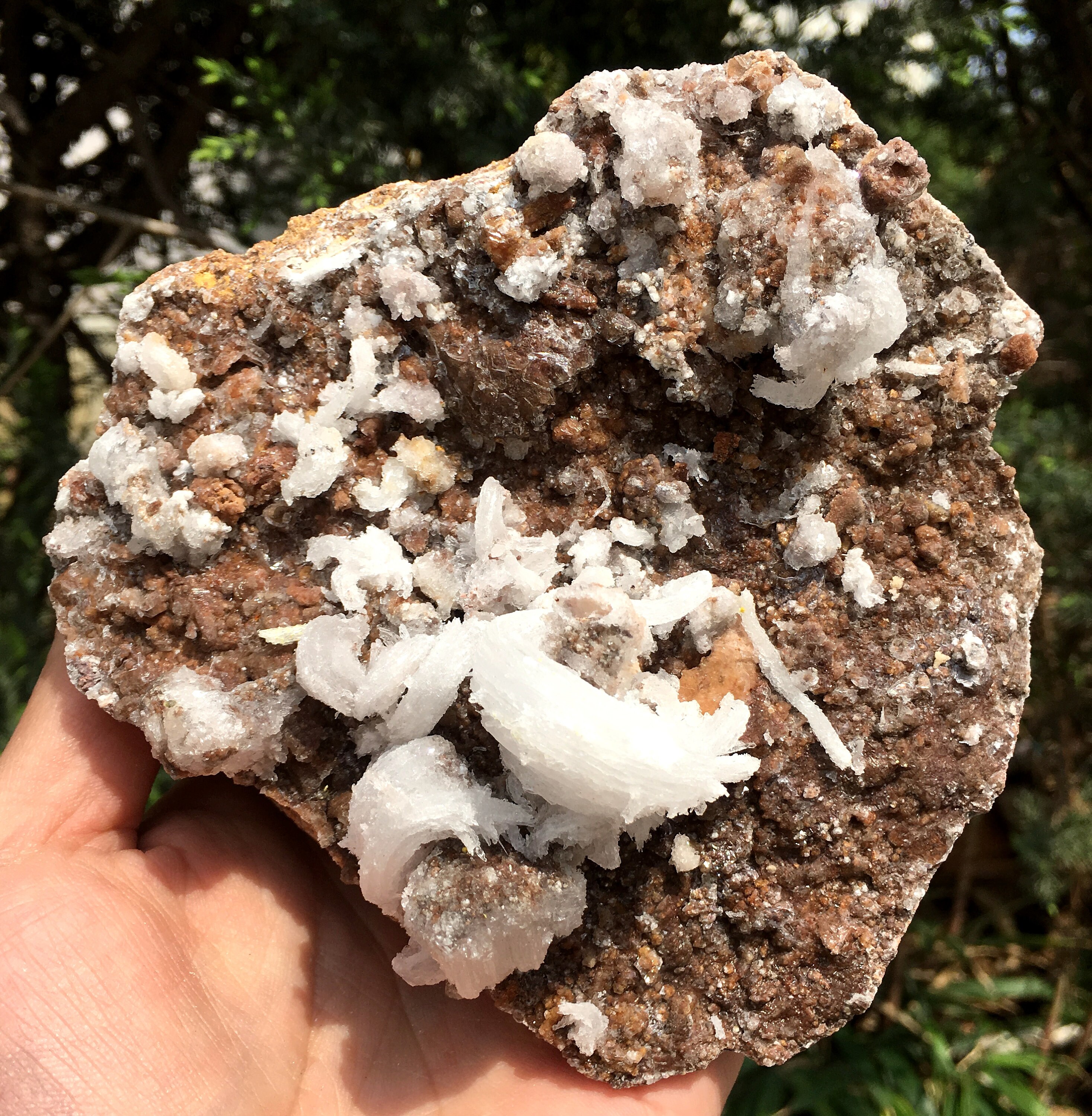 Natural large gypsum selenite on matrix/gypsum cluster/gypsum | Etsy