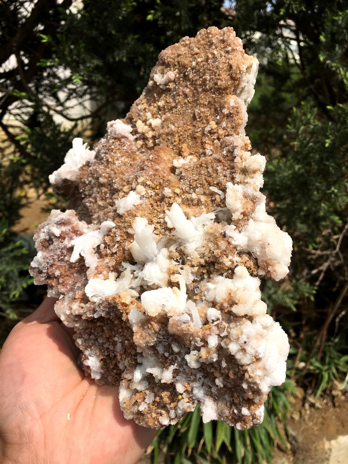 Natural large gypsum selenite on matrix/gypsum cluster/gypsum | Etsy