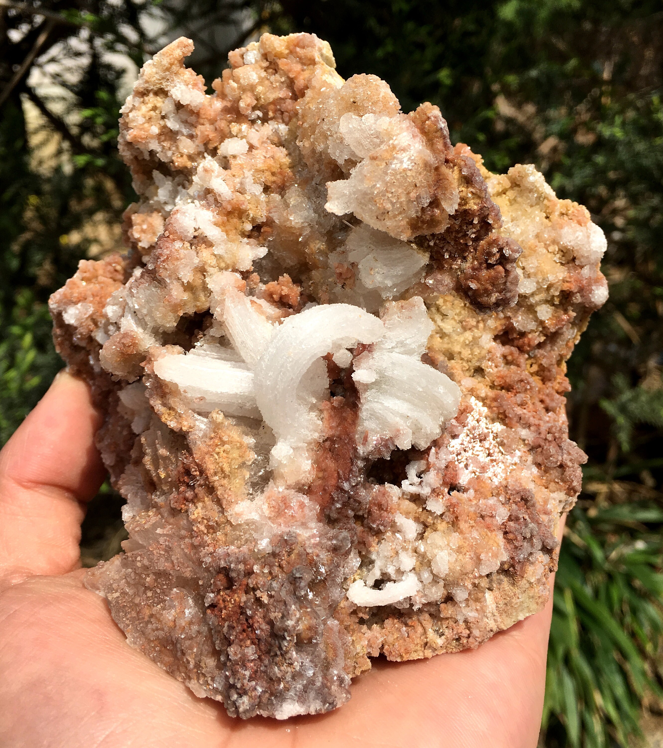 Natural large gypsum selenite on matrix/gypsum cluster/gypsum | Etsy