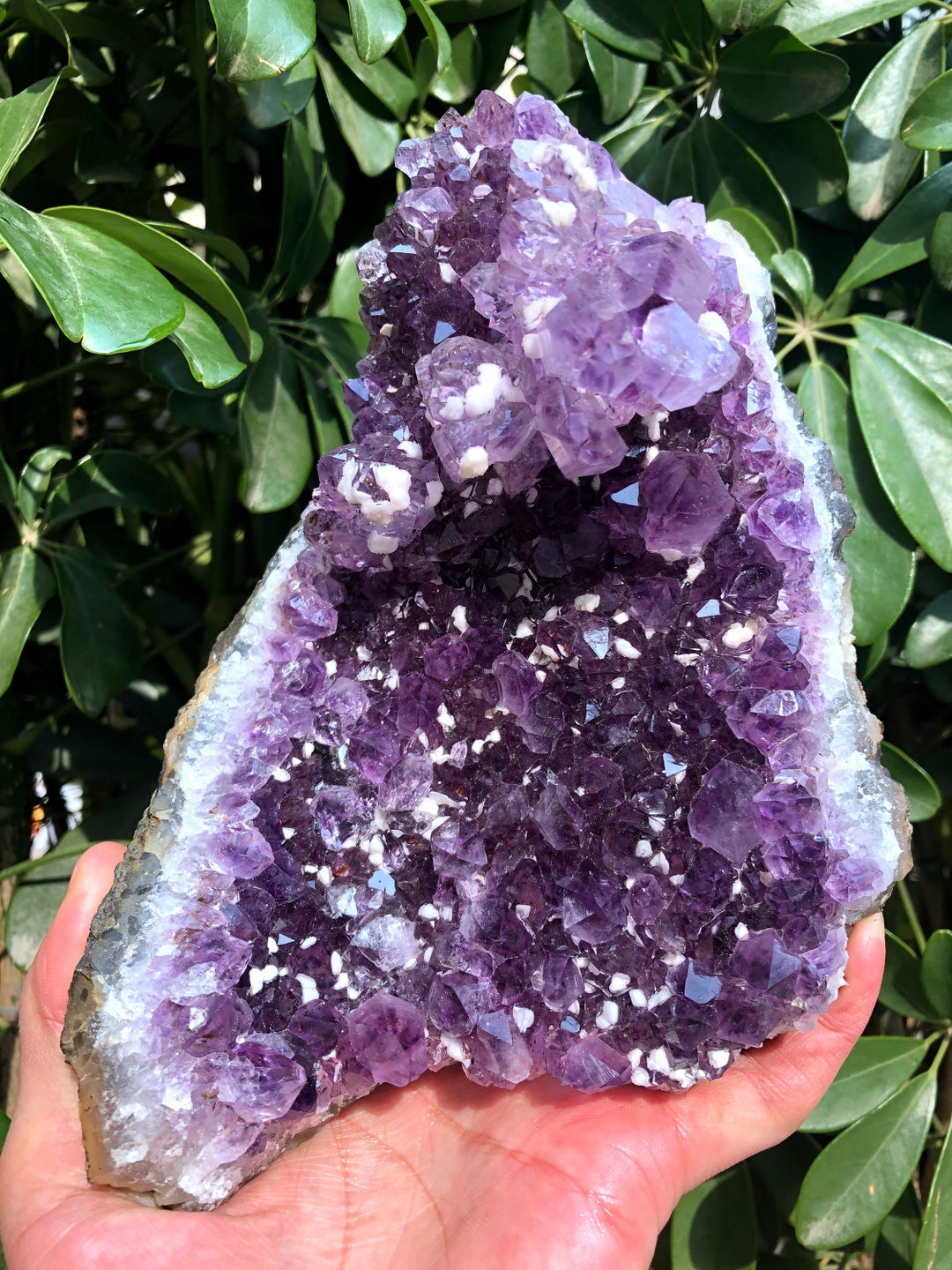 Best Natural Amethyst Cluster/purple Amethyst Cluster Geode/special ...