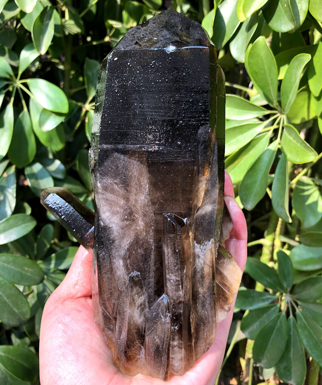 Top Large Raw Black Crystal Cluster/black Quartz Cluster/quartz Cluster ...