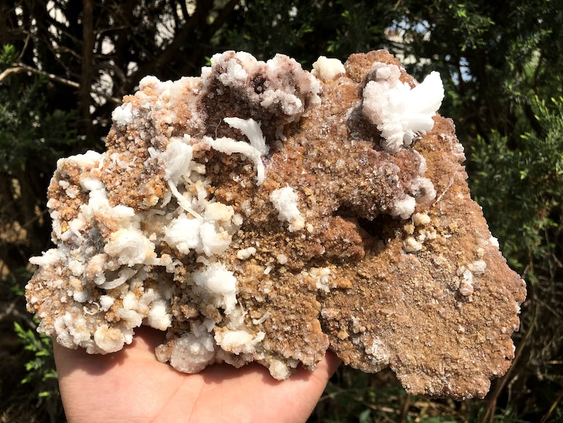 Natural Large Gypsum Selenite on Matrix/gypsum Cluster/gypsum - Etsy